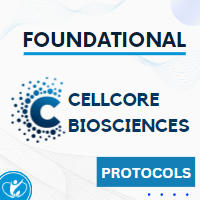 Foundational Protocols | Healthy Beings Solutions